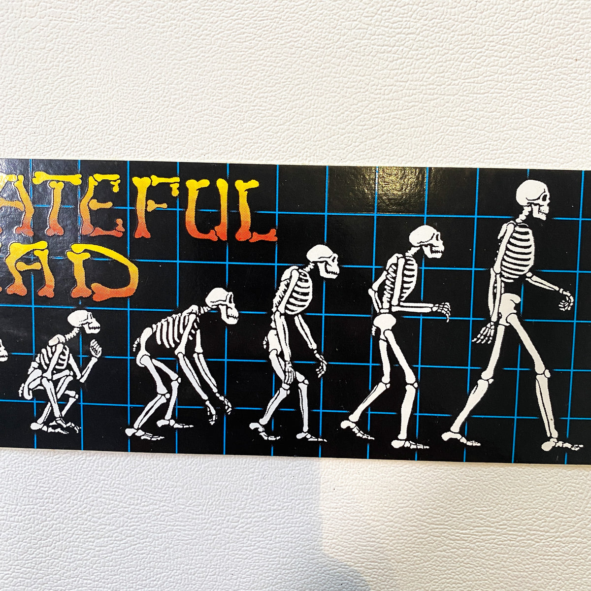 Vintage 1995 Grateful Dead “Evolution Skeleton” Bumper Sticker ...