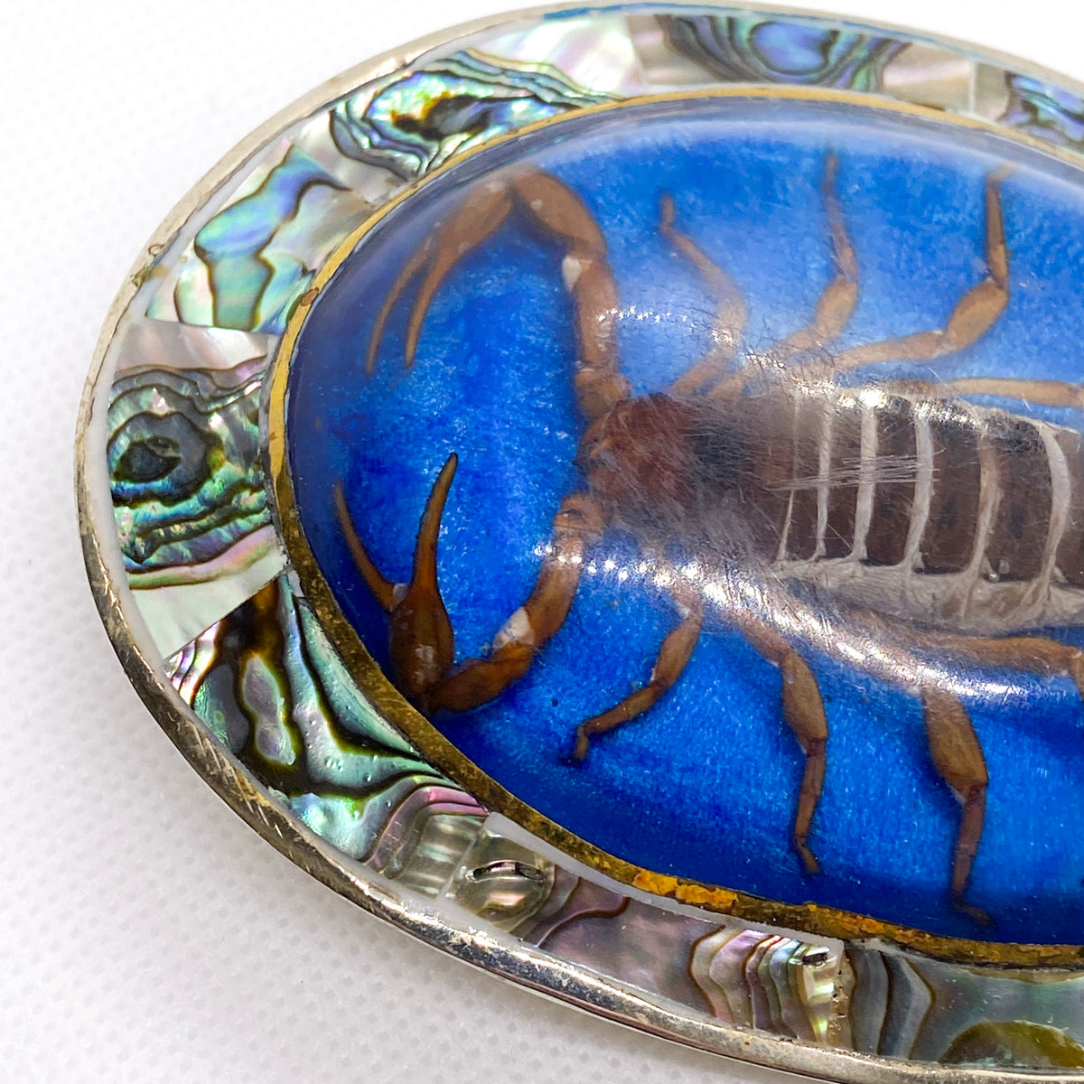 Vintage 80's Scorpion Abalone Inlay Belt Buckle – CobbleStore Vintage